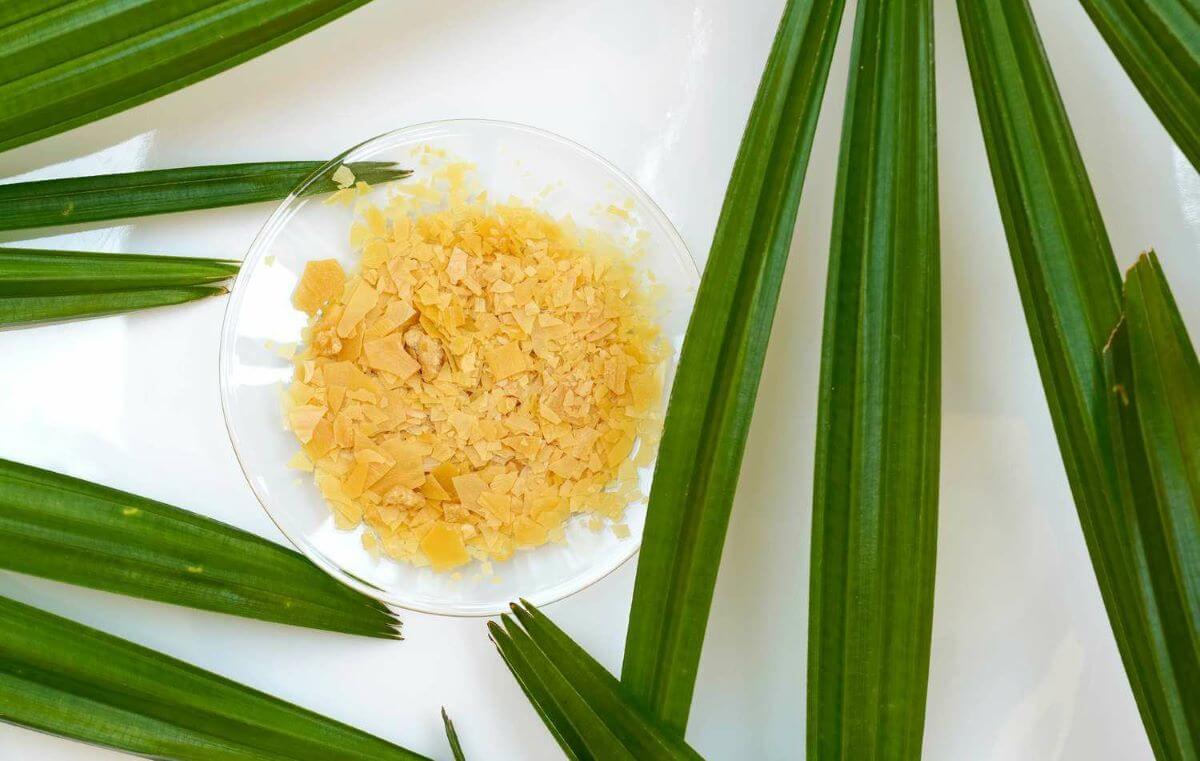 Vegan Wax: What is it?